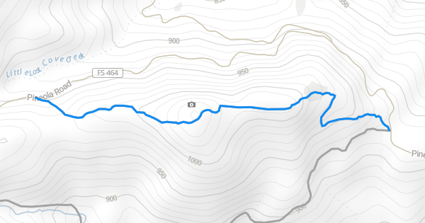 Little Lost Cove Cliff Trail Hiking Trail - Morganton
