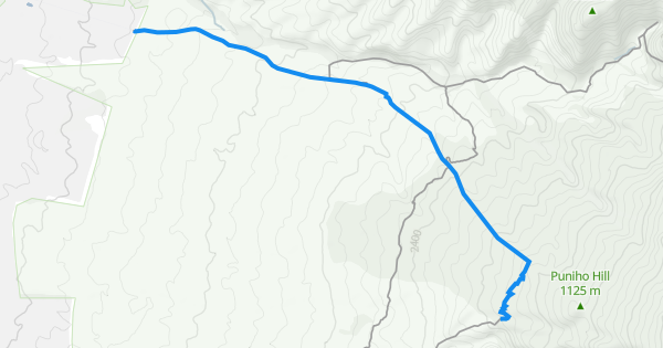 Puniho Track Hiking Trail - Taranaki | Trailforks