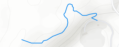 Revenuers Run Connector Mountain Biking Trail - Rocky Mount