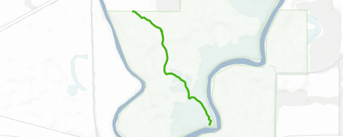 Big Oak Loop Trail Multi Trail - Ellaville, Florida