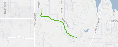 North Whatcom Creek Trail Multi Trail - Bellingham