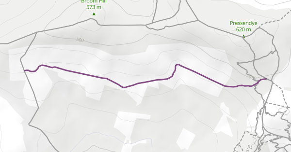 Forest Road Multi Trail - Cushnie, Tarland | Trailforks