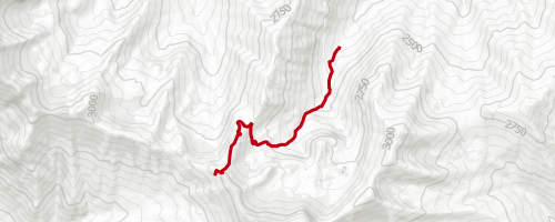 Shingle Mill Trail Multi Trail - Sundance, Utah