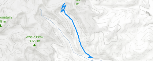 Handcart Gulch ATVing/Offroading Trail - - Colorado