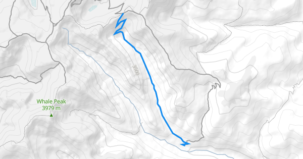 Handcart Gulch ATVing/Offroading Trail - - Colorado