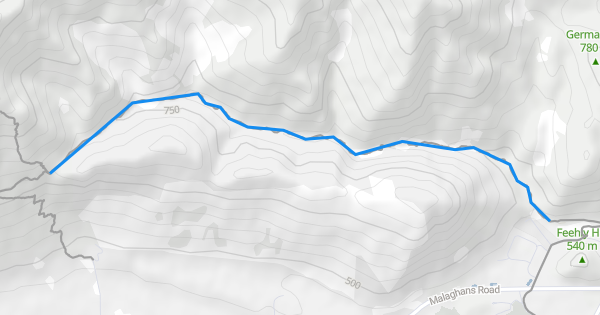 Bush Creek Multi Trail - Arrowtown Trails, Queenstown