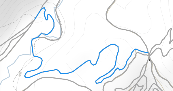 The Tickler Mountain Biking Trail - Rotorua | Trailforks