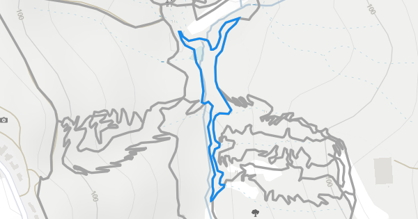 Gutsa Mountain Biking Trail - Totara Park, Auckland