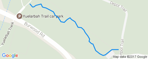 Deluge Mountain Biking Trail - Glenrock, Newcastle