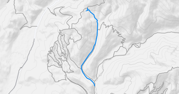Spring Gulch Multi Trail - Missoula, Montana