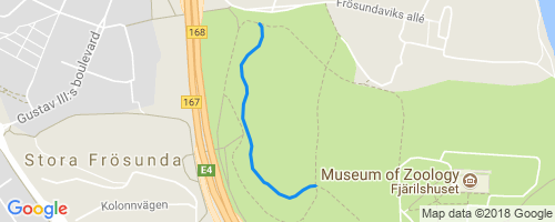 Haga DH Mountain Biking Trail - Hagaparken, Solna