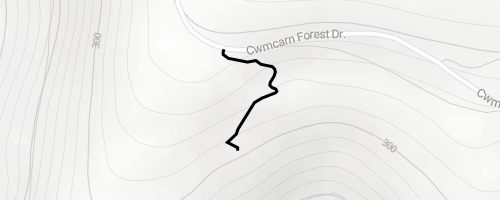 Mayhem Mountain Biking Trail - Cwmcarn Forest Drive