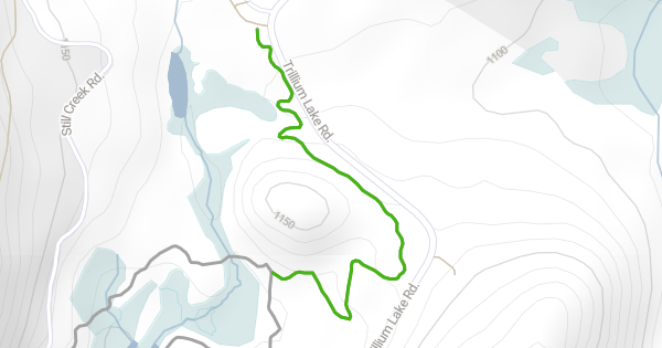 Trillium Lake Mountain Biking Trail - Government Camp