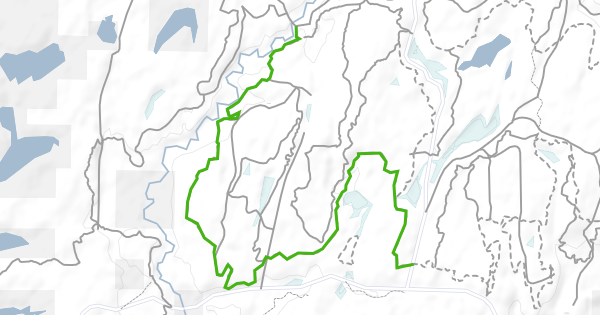 Tahuya River Trail Multi Trail - Bremerton, Washington