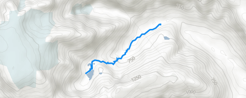 Century Sam Hiking Trail - Comox, British Columbia