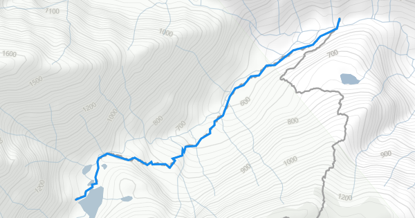Century Sam Hiking Trail - Comox, British Columbia