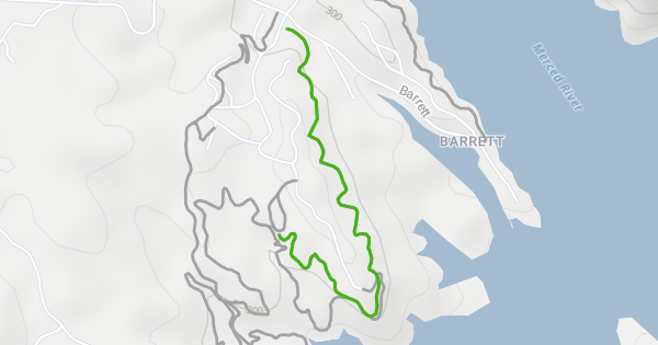 Upper Cabin Mountain Biking Trail - Merced, California