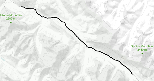 Fiddle River Trail Multi Trail - Jasper, Alberta