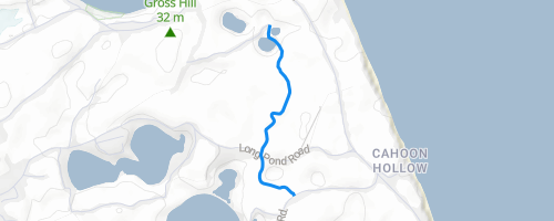 To Spectacle Pond Multi Trail - Wellfleet, Massachusetts