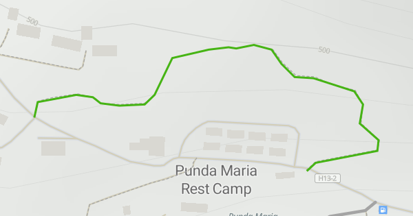 Flycatcher Trail Hiking Trail - Punda Maria | Trailforks
