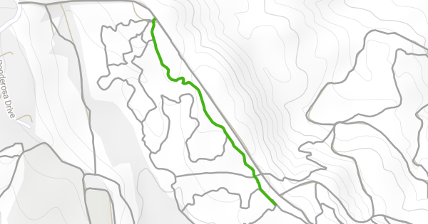 North Ridgeside Multi Trail - Angwin, California