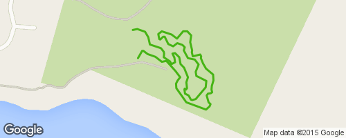 Jardines Bush Loop Mountain Biking Trail - Queenstown