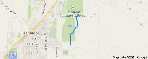 Forest Grove Mountain Biking Trail - Cranbrook, BC