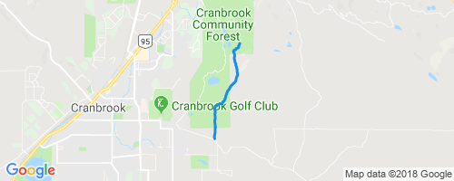 Forest Grove Mountain Biking Trail - Cranbrook, BC