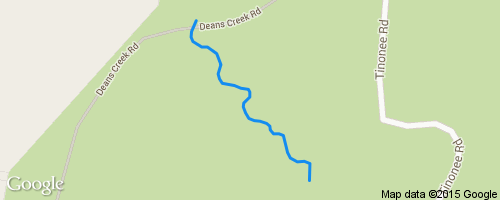 Spring Gully Mountain Biking Trail - Taree | Trailforks