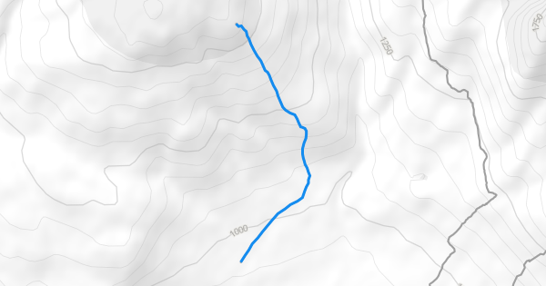 Opal Ridge Hiking Trail - Smithers, British Columbia