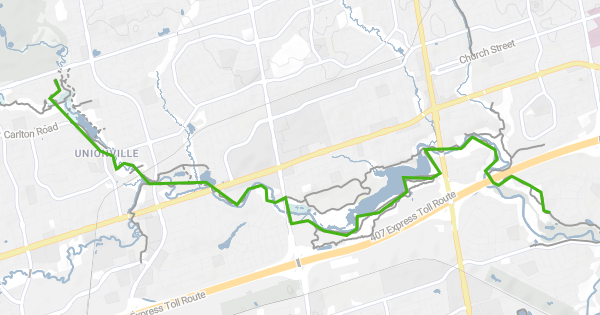 Local Markham Loop Multi Trail - Markham, Ontario
