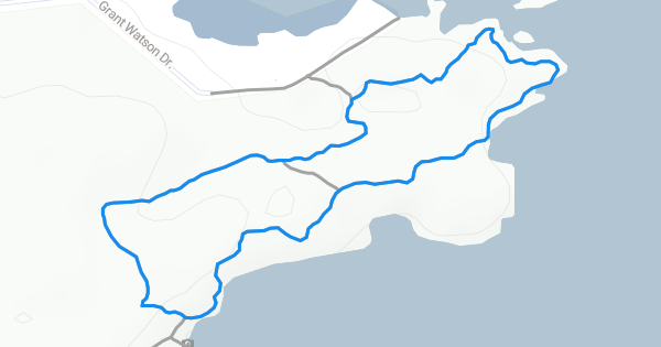 Burnt Point Loop Side Trail Hiking Trail - Northern Bruce Peninsula ...