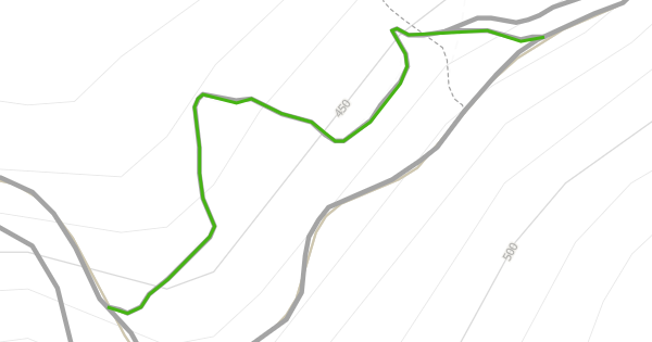 Forest Loop, Tūhua (Part 1) Mountain Biking Trail - Rotorua