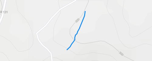 Double Track Mountain Biking Trail - - New York