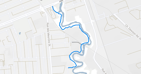 Seine River Trail Mountain Biking Trail - Winnipeg