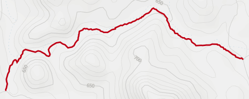 Bulldog Canyon Trail Multi Trail - Apache Junction