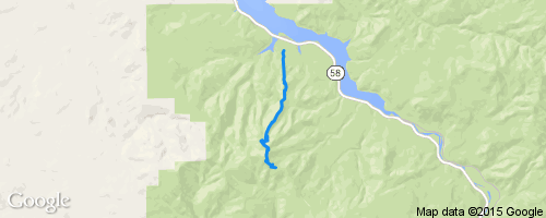 Mt. Hardesty Mountain Biking Trail - Oakridge, Oregon