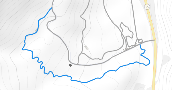 Roaring Run Trail Multi Trail - Marlinton, West Virginia