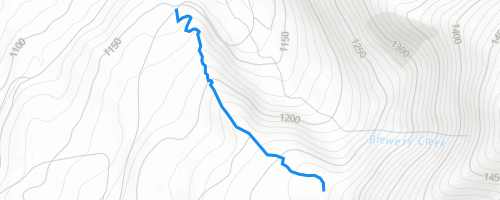 Uprooted Mountain Biking Trail - Fernie, British Columbia