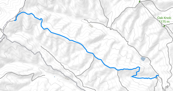 Big Hollow Trail Mountain Biking Trail - Harrisonburg