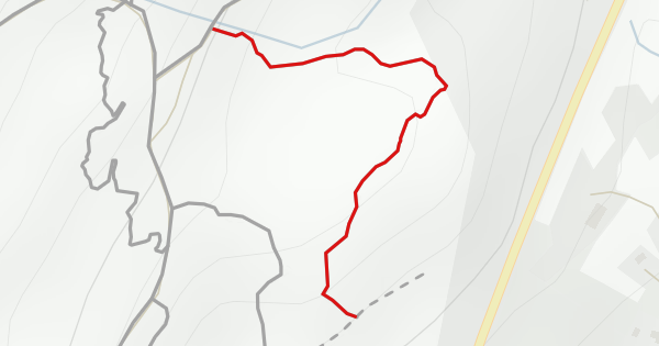 Bracken Bashing Mountain Biking Trail - Aviemore