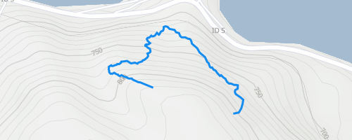 Cedar Loop Hiking Trail - Plummer, Idaho | Trailforks