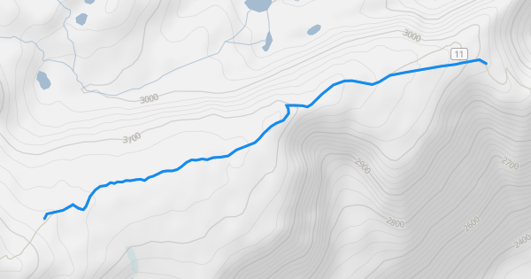 Hellroaring Plateau Hiking Trail - Red Lodge, Montana