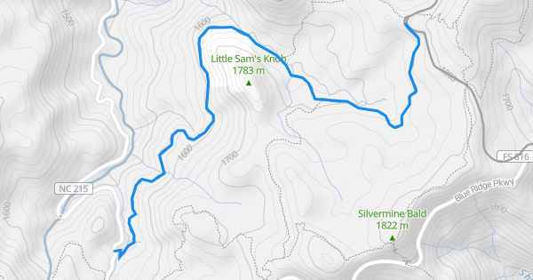 Flat Laurel Creek Trail Multi Trail - Brevard, NC