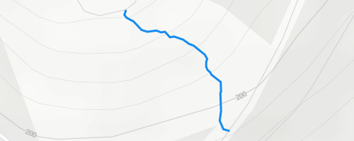 Pineapple Express Mountain Biking Trail - Torphins