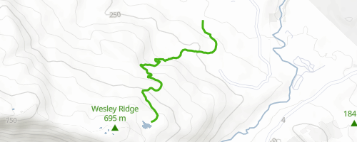 Wesley Ridge Multi Trail - Qualicum Beach, BC