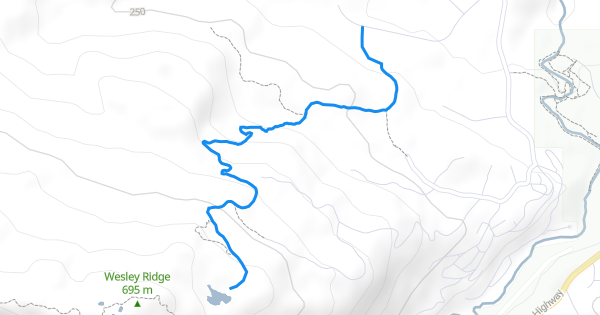 Wesley Ridge Multi Trail - Qualicum Beach, BC