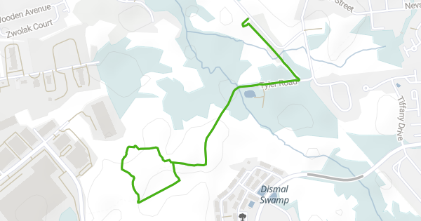 Triple C Swamp Loop And Zombie Extension Mountain Biking Trail - Edison