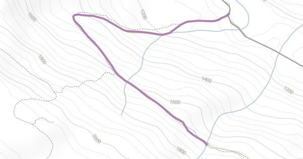 VIU Resource road Multi Trail - Nanaimo, British Columbia