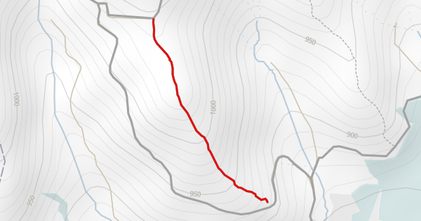 Wildspitz First Hiking Trail - Höhronen, Feusisberg